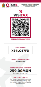 VISITAX Explained [2025 Update]: What Is VISITAX & Do I Need To Pay It ...